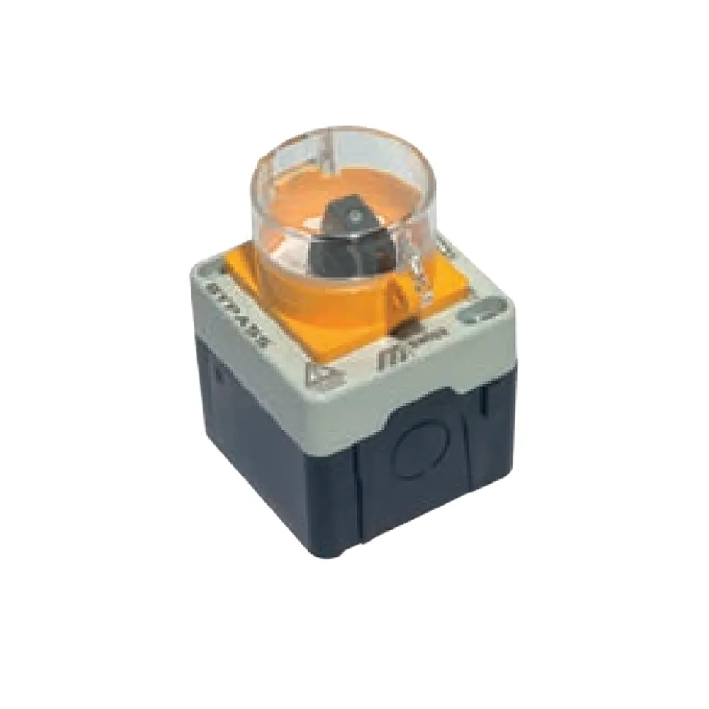 Wholesale Box Mounted By-Pass Switch (1 Switch)